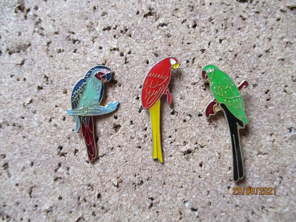 Papagei Papageien Ara Lot | Kaufen auf Ricardo