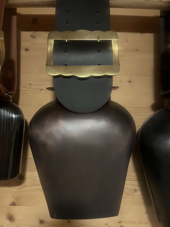 Treichel (Neu und originalverpackt) in Stalden (Sarnen) für CHF 740 – mit Lieferung auf Ricardo ...