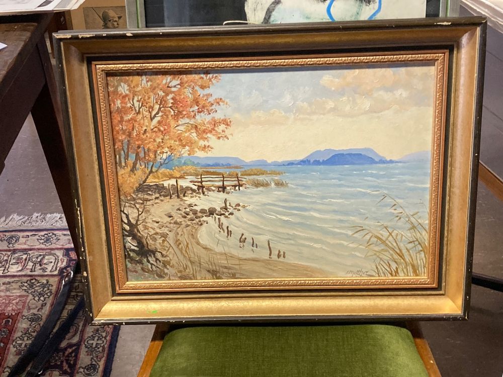 (rg) METTHEZ Bielersee St. Petersinsel Monte Vully sign (Gebraucht) in Bern für CHF 40 – mit ...