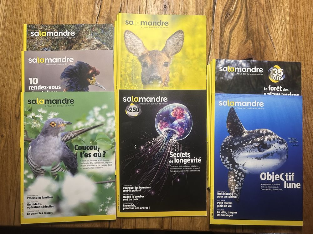 Lot magazine Salamandre (20 pièces) (Gebraucht) in Montreux für CHF 28 ...