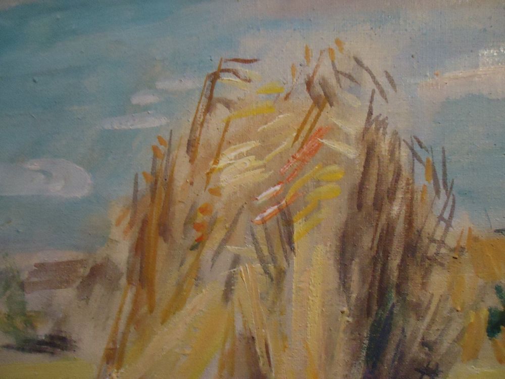 HANNI BAY 1885-1978 LANDSCHAFTSGEMAELDE | Kaufen auf Ricardo