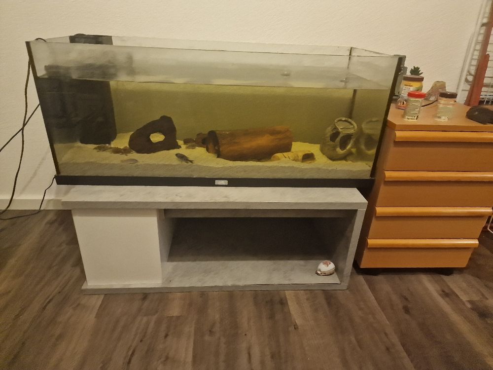 Aquarium 150l inkl. Untergestell (Gebraucht) in Bürglen TG für CHF 1 ...