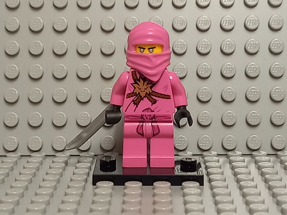 Lego Ninjago Figur njo561 Zane - Avatar Pink (Gebraucht) in Derendingen ...
