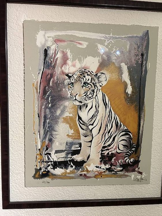 Weisses Tiger Baby Bild von Rolf Knie | Kaufen auf Ricardo
