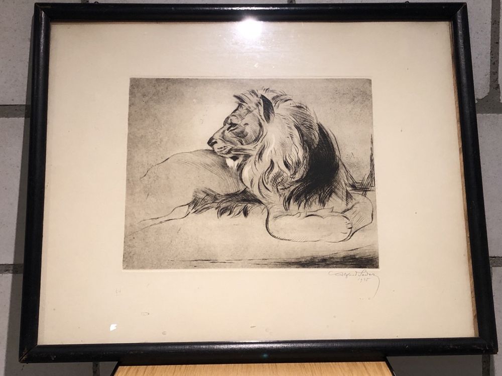 Radierung ‚Der Löwe’ Original von Alfred Soder 1925 (Neu (gemäss ...
