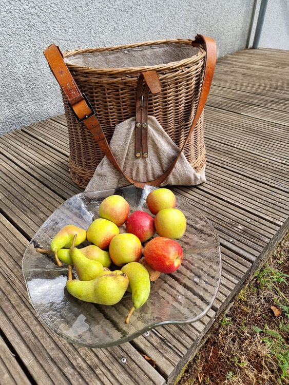 Garten-Erntekorb für Obst | Kaufen auf Ricardo