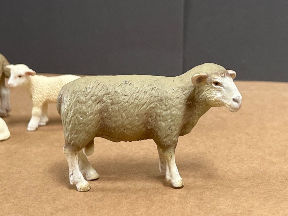 Schleich Schaf Lamm Schafe Schafbock | Kaufen auf Ricardo