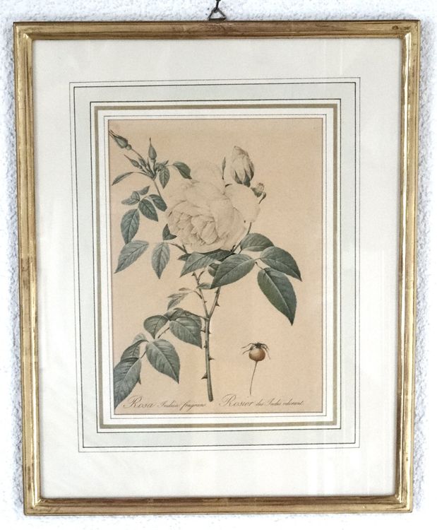 antiker grosser, col. Blumenstich, Goldrahmen über Eck (Gebraucht) in ...