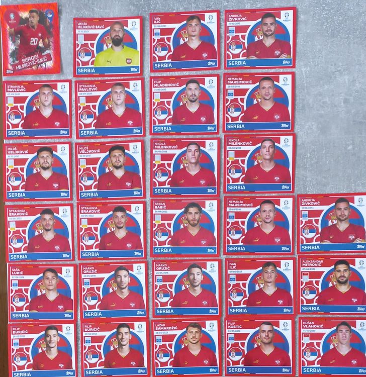 Panini EM 2024 Team Serbien (Neu (gemäss Beschreibung)) in Thayngen für ...
