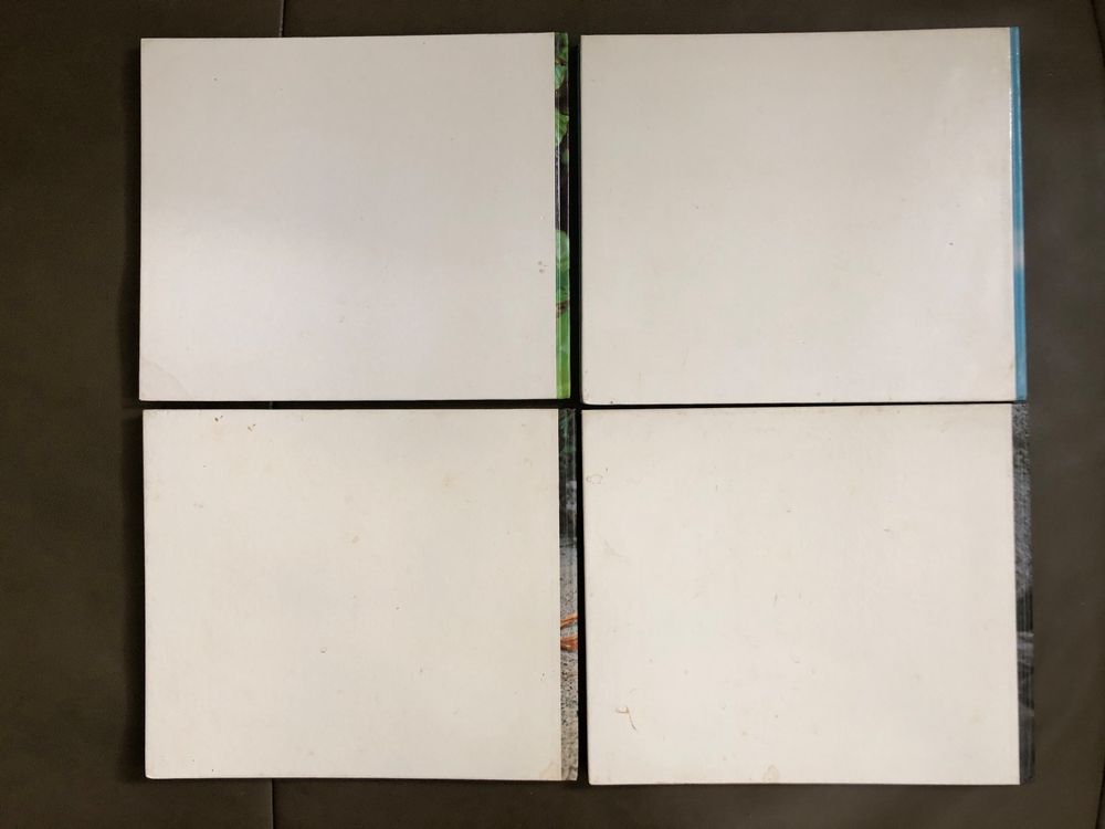 4 Bücher Baski, Heinrich Gohl und Martin Hächler (Gebraucht) in ...