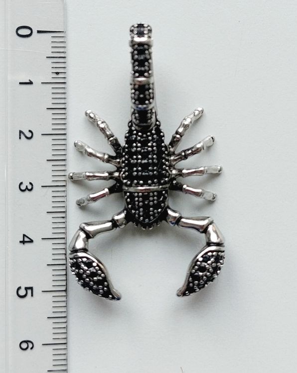 Anhänger Silber 925 Skorpion (Neu (gemäss Beschreibung)) in Saland für ...