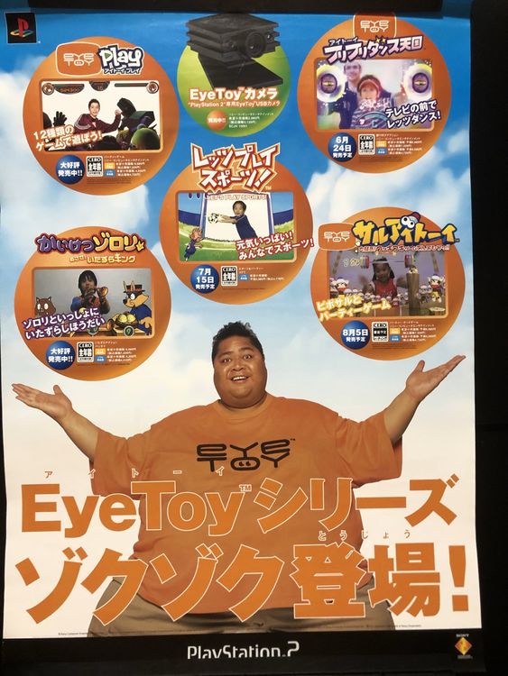 Eye Toy PS2 Video Game Poster aus Japan (Gebraucht) in Wil SG für CHF 5 ...