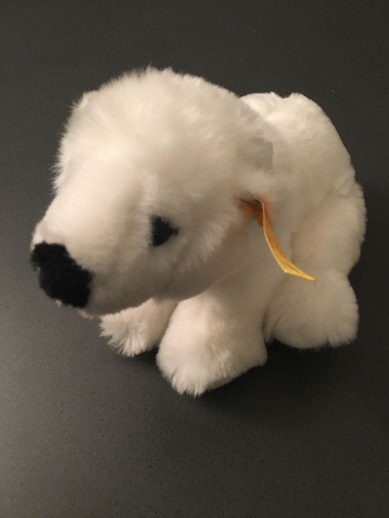 KNUT Orginal Steiff Plüschtier (Neu (gemäss Beschreibung)) in Leibstadt ...