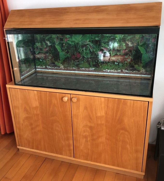 Aquarium komplett, 240l (Gebraucht) in Teufenthal AG für CHF 50 – nur Abholung auf Ricardo kaufen
