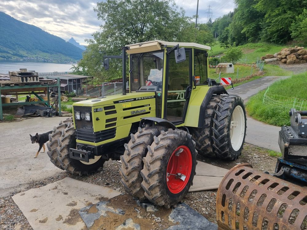 Hürlimann H 468 DT (Gebraucht) in Steinen für CHF 25000 – nur Abholung auf Ricardo kaufen