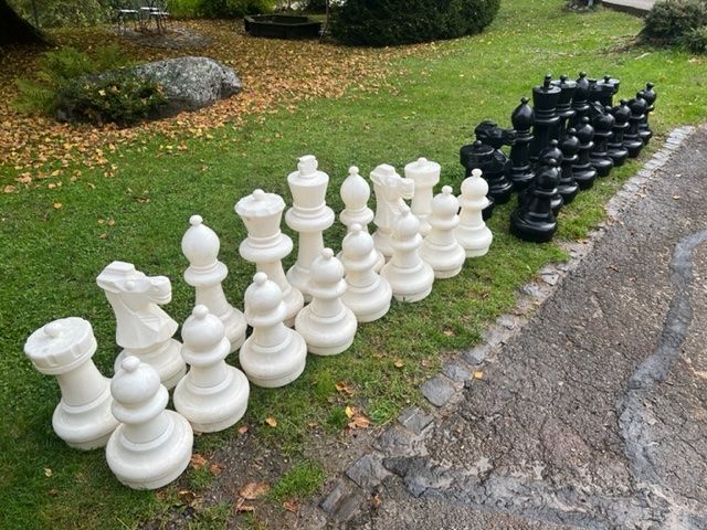 Schachfiguren / Schach / Figuren | Kaufen auf Ricardo