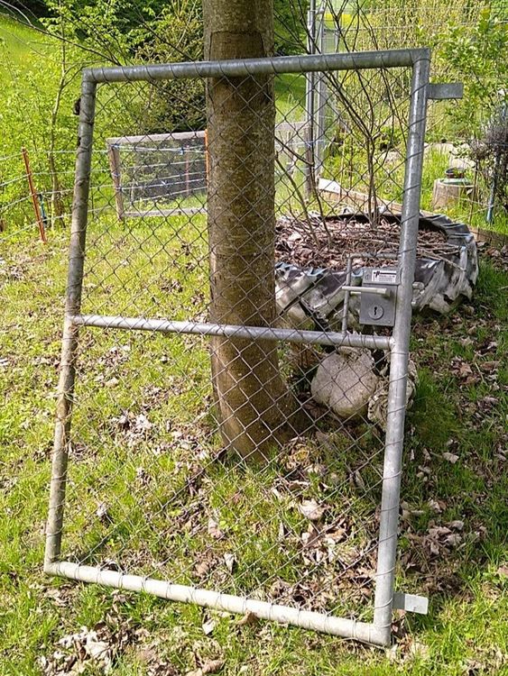 Zauntor, Zauntür, Maschendraht (Gebraucht) in Ermenswil für CHF 10 ...