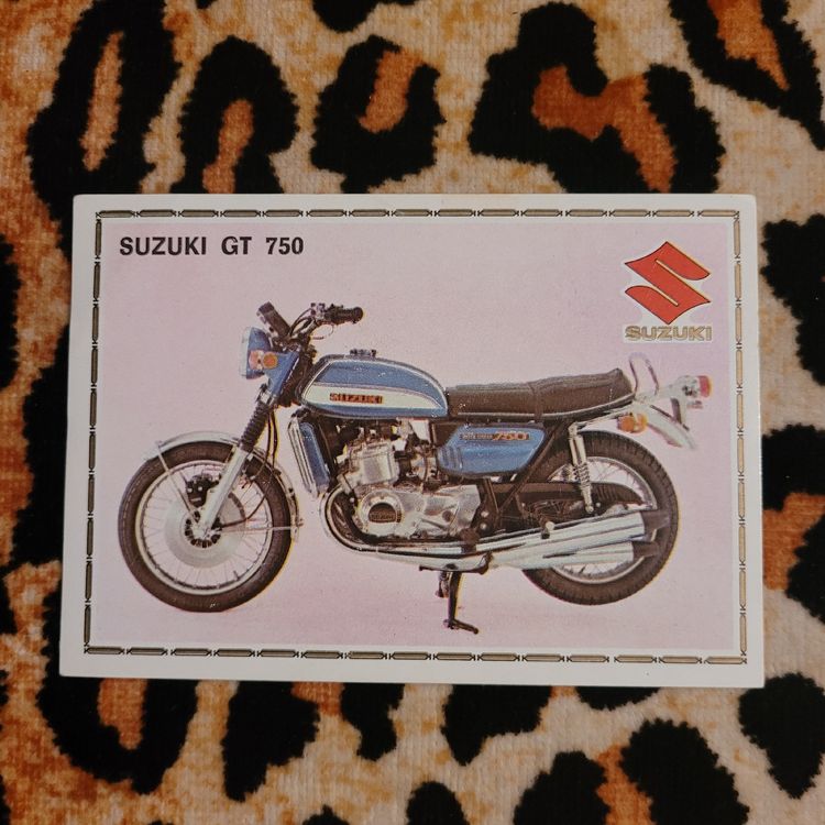 SUPER MOTO PANINI SUZUKI GT 750 (Gebraucht) in Schönenwerd für CHF 2 ...