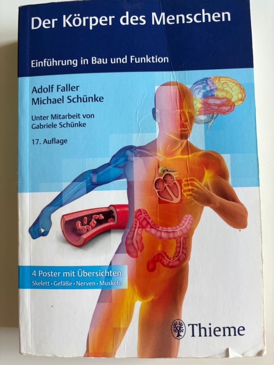 Der Körper des Menschen - Medizin Fachbuch | Kaufen auf Ricardo