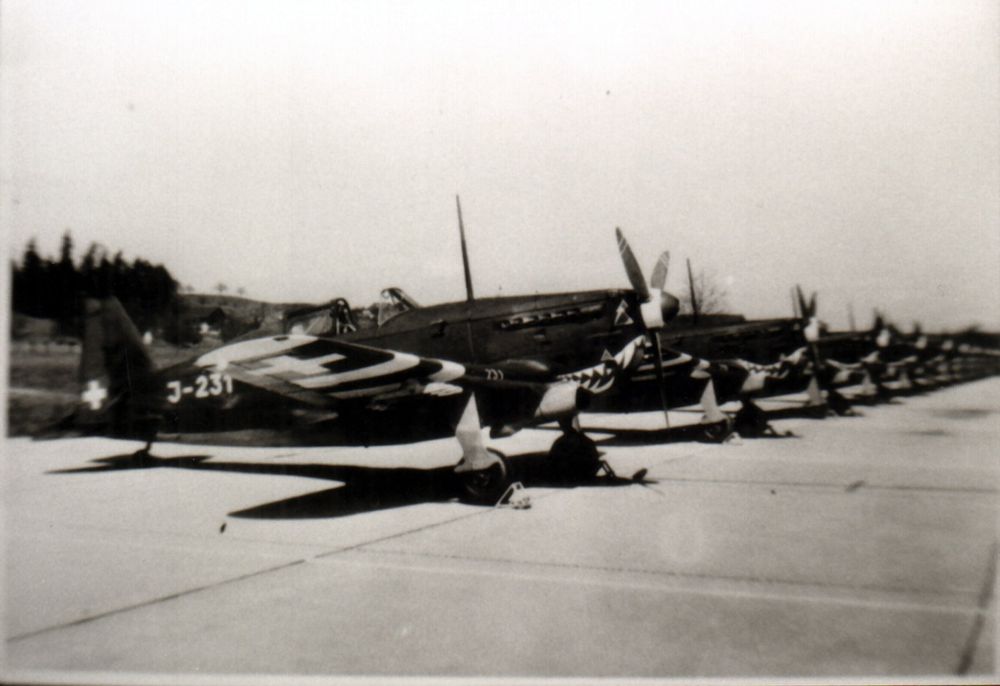 D-3801 Morane MS-506 J-231 Swiss Air Force (Neu (gemäss Beschreibung ...