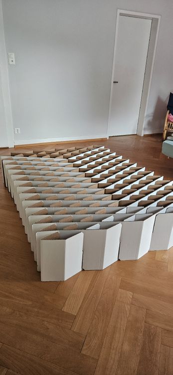 Kartonbett 140x200 mit passender Ikea-Matratze (Gebraucht) in Luzern ...