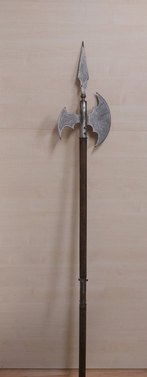 Hellebarde (Gebraucht) in Münchenstein für CHF 45 – nur Abholung auf ...