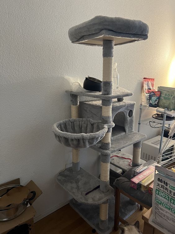 Cat tree | Kaufen auf Ricardo