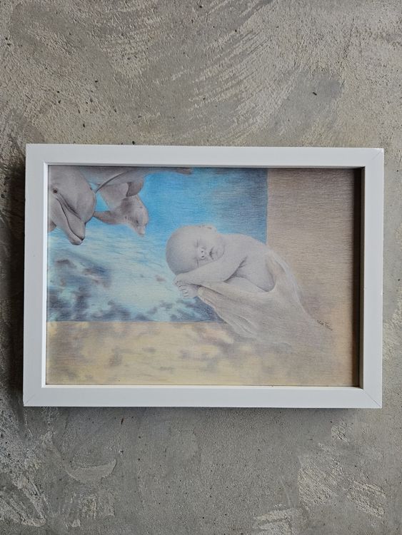 Bild Kunst Zeichnung Delphine Baby (Neu (gemäss Beschreibung)) in Anwil ...