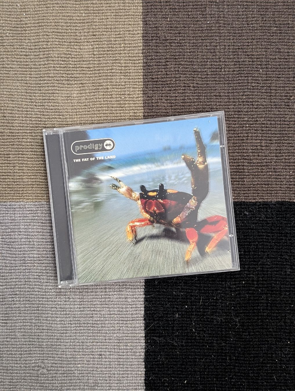 THE FAT OF THE LAND - prodigy (Defekt) in Kriens für CHF 1 – nur ...