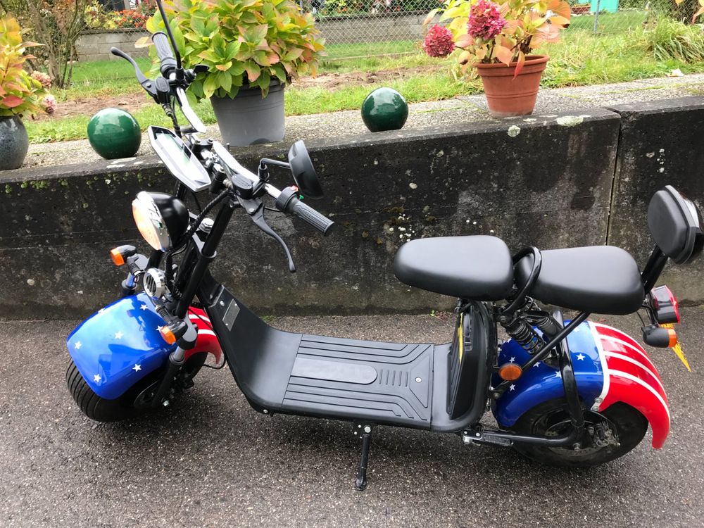 Electric Scooter City Koko | Item Number: ES8004 EEC (Neu (gemäss ...