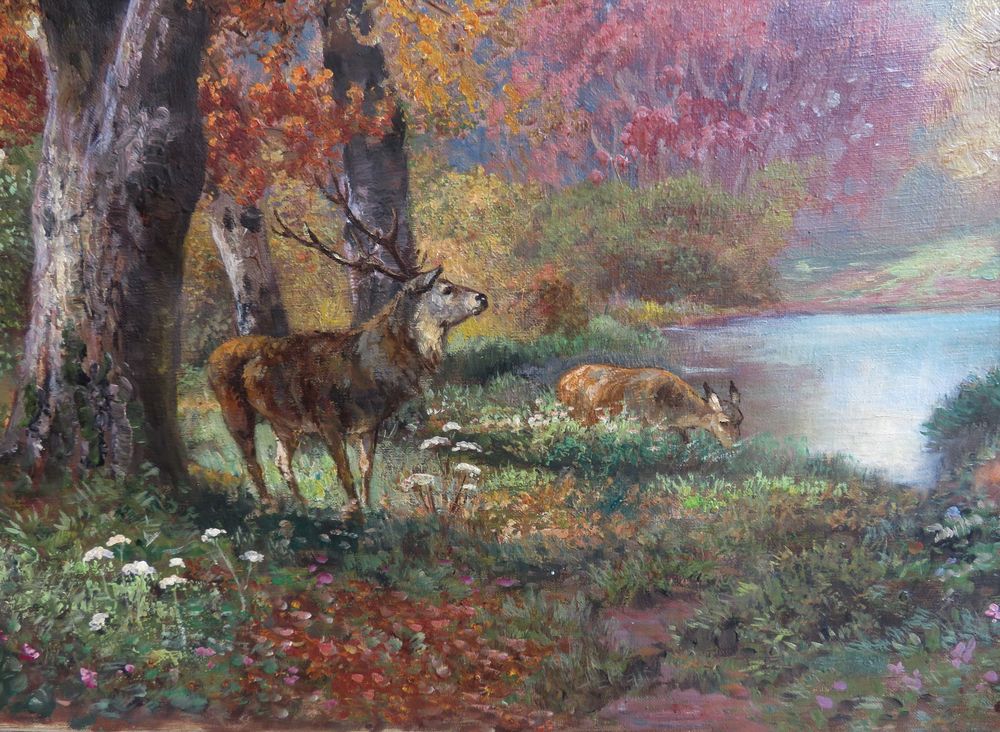 Wunderschöne Gemälde Hirsch Im Wald Ebenbild