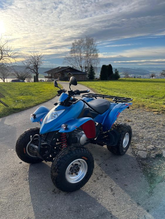 Quad Kymco KXR 250 | Kaufen auf Ricardo