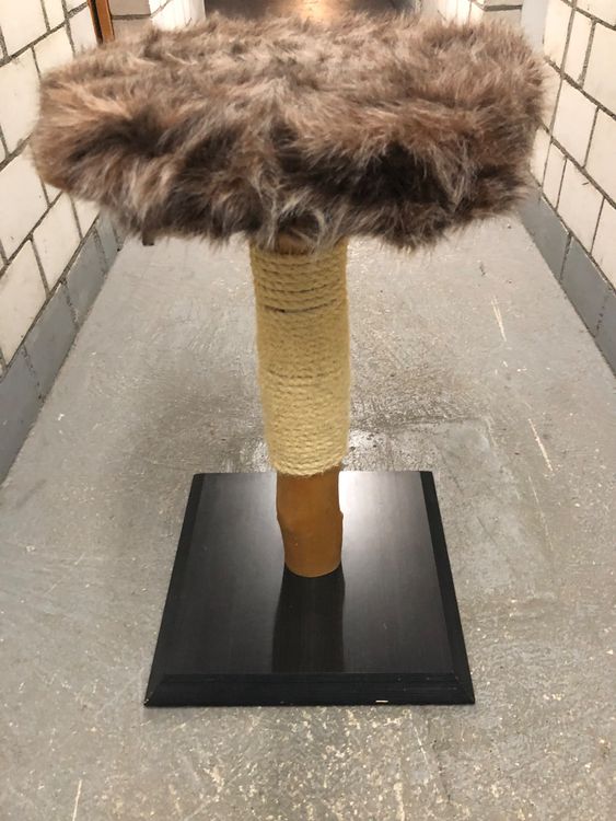 Robuster Kratzbaum für Katzen, Ø 40cm (Gebraucht) in Arbon für CHF 40 ...
