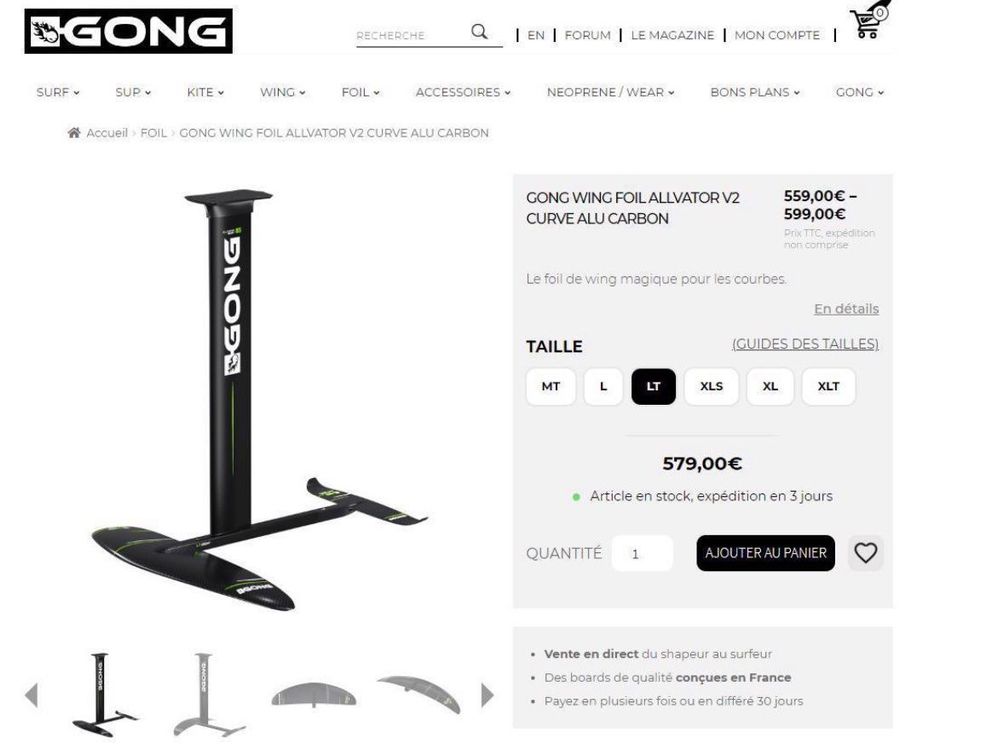 GONG WING FOIL ALLVATOR V2 CURVE ALU CARBON - LT (Neu und ...