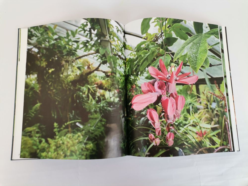 Buch: Botanischer Garten Bern F. Zaugg, A. Moser (Gebraucht) in ...