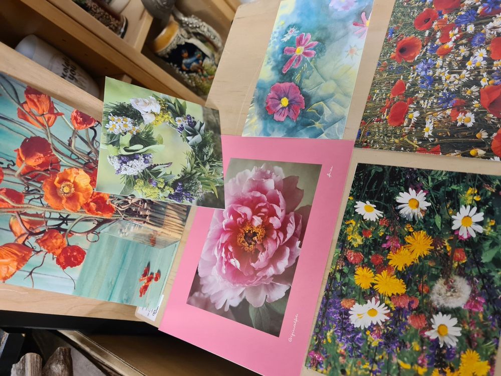 Alte Gruss-/ Postkarten diverse Grössen (Neu (gemäss Beschreibung)) in ...