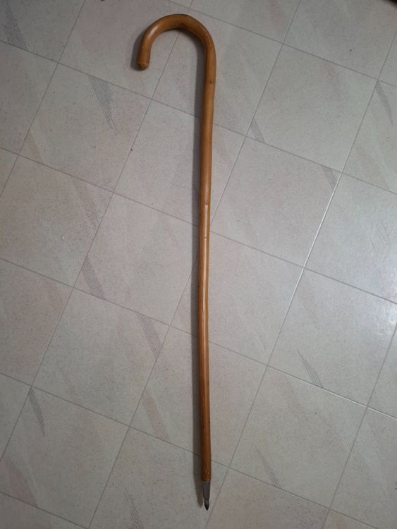 Wanderstock aus Holz (Gebraucht) in Altnau für CHF 11 – mit Lieferung auf Ricardo kaufen