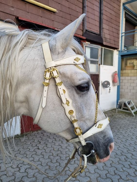 weisser Barockzaum mit Golddekor | Kaufen auf Ricardo