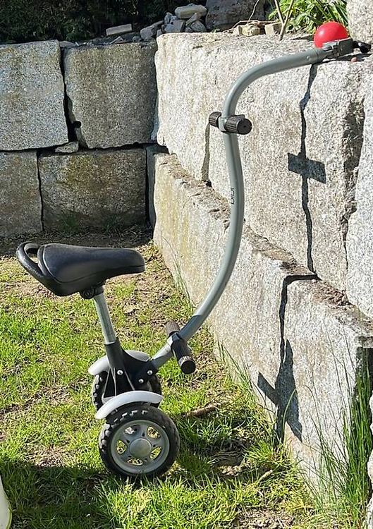 Kinderwagenanhänger Strolli Bibi Swiss (Gebraucht) in Dintikon für CHF ...