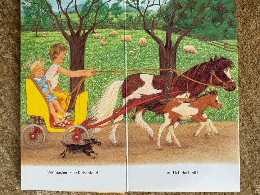 Ich bin das kleine Pony , Ravensburger | Kaufen auf Ricardo