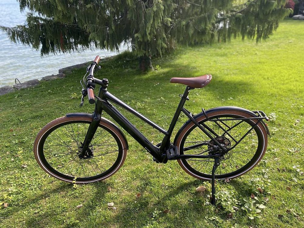 Ego Movement Skarabäus E-Bike Flow M - Vélo électrique (D'occasion) à ...