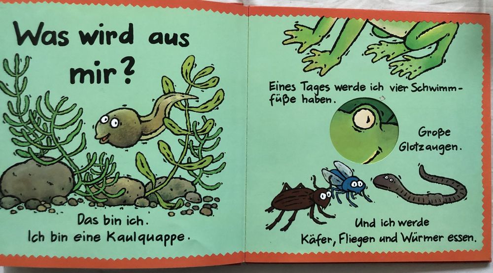 Mein Guckloch-Buch: Rat mal, was ich werde - Carlsen Verlag (Gebraucht ...