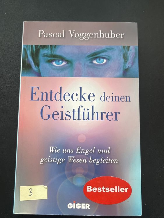 Entdecke deinen Geistführer - Bestseller-Pascal Voggenhuber | Kaufen auf Ricardo
