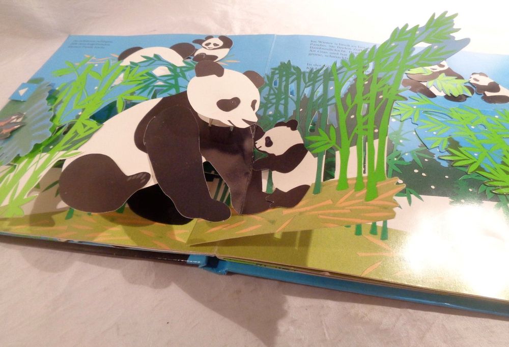 Pop-Up Buch / Die Pandas / Panda / Mit beweglichen Bildern (Gebraucht ...