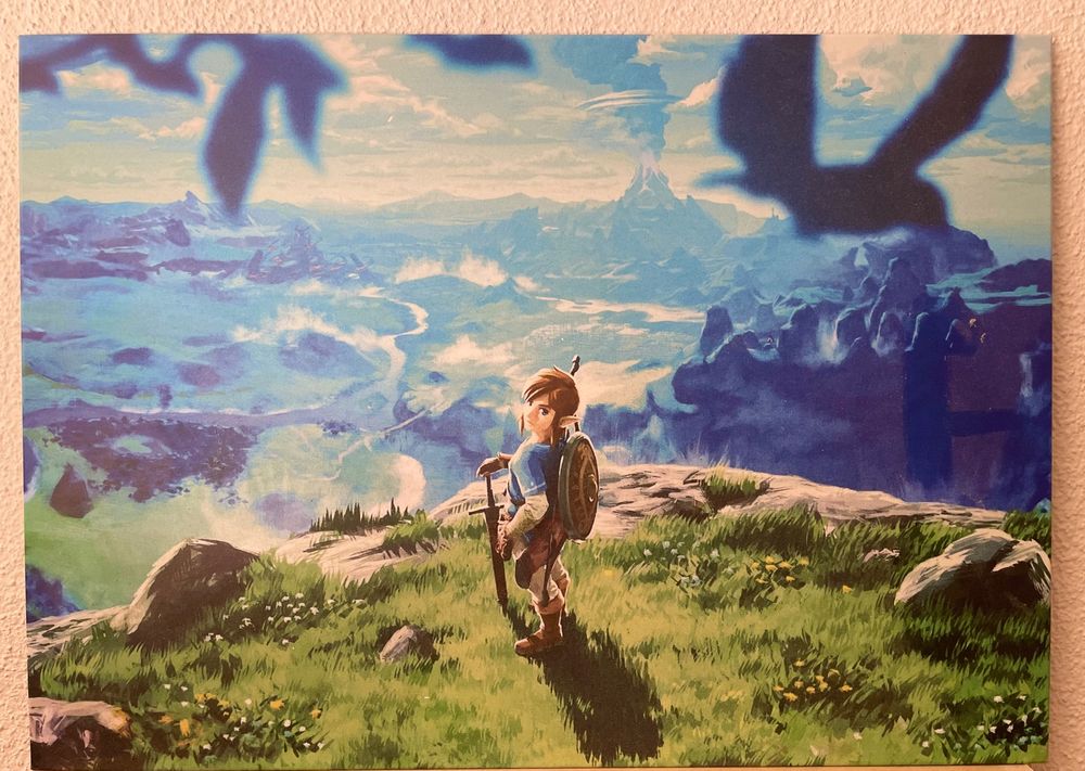 Zelda BOTW Nintendo Switch Set (Neu (gemäss Beschreibung)) in Wilen b ...