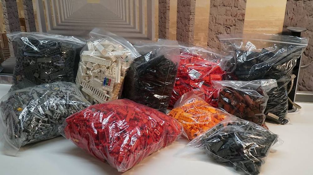 PEZZI LEGO (Neu (gemäss Beschreibung)) in Origlio für CHF 450 – mit ...