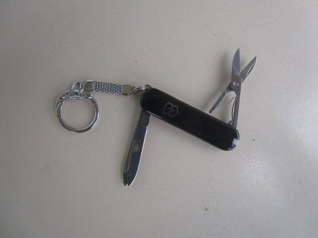 Victorinox - Elsener Ibach - CWA Constructions (Neu (gemäss ...