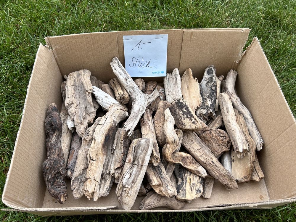 Kleine schöne Schwemmholz Stücke zum Basteln (Neu und originalverpackt) in St. Urban für CHF 1 ...