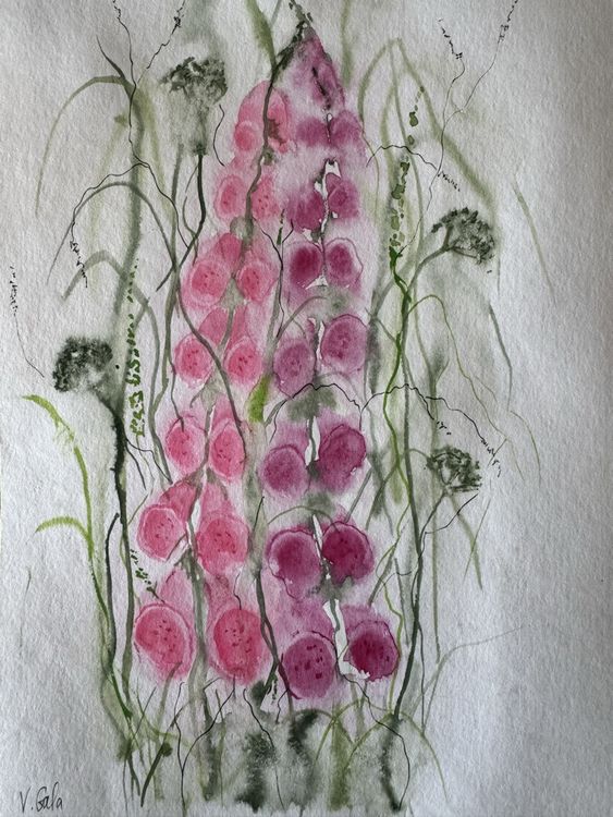 Aquarell "Fingerhut", handgemalt, Unikat (Gebraucht) in Lanzenhäusern für CHF 30 – mit Lieferung ...