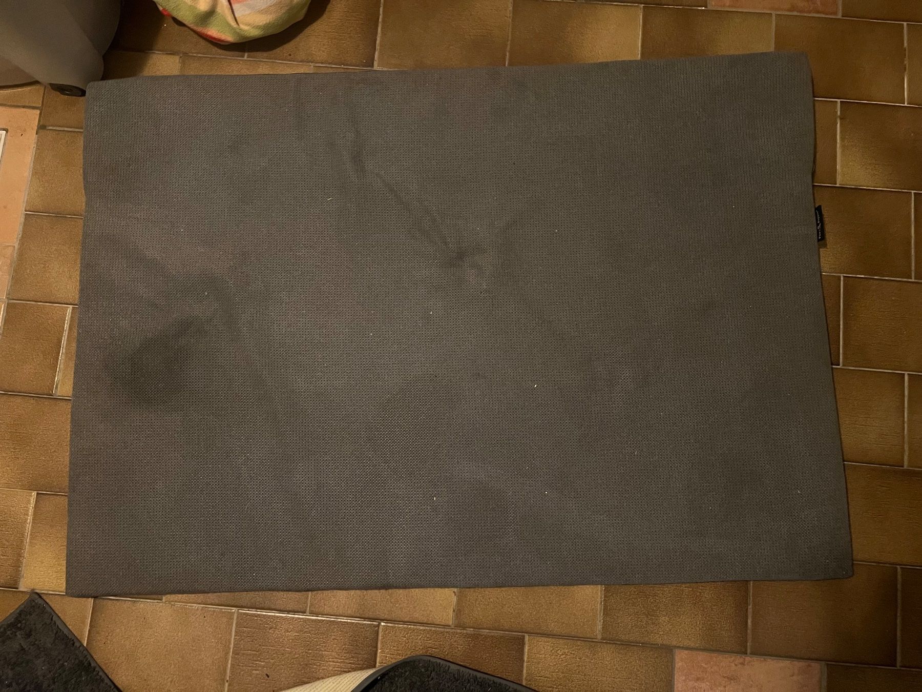 Pawz&Pepper Coussin pour chien, noir - confort optimal! (D'occasion) à ...